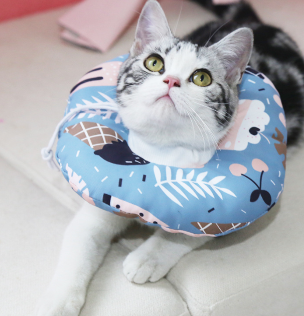 The Life Saving Donut – shopSOF'S